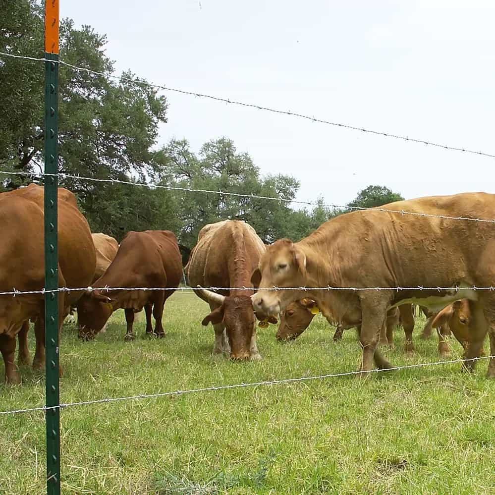 Cercos agro y construccion